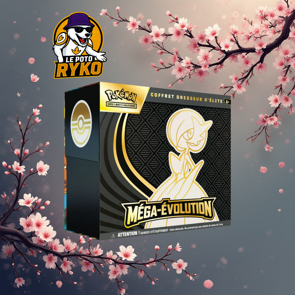 Pokemon - ETB - Méga évolution - Gardevoir – Le Poto Ryko